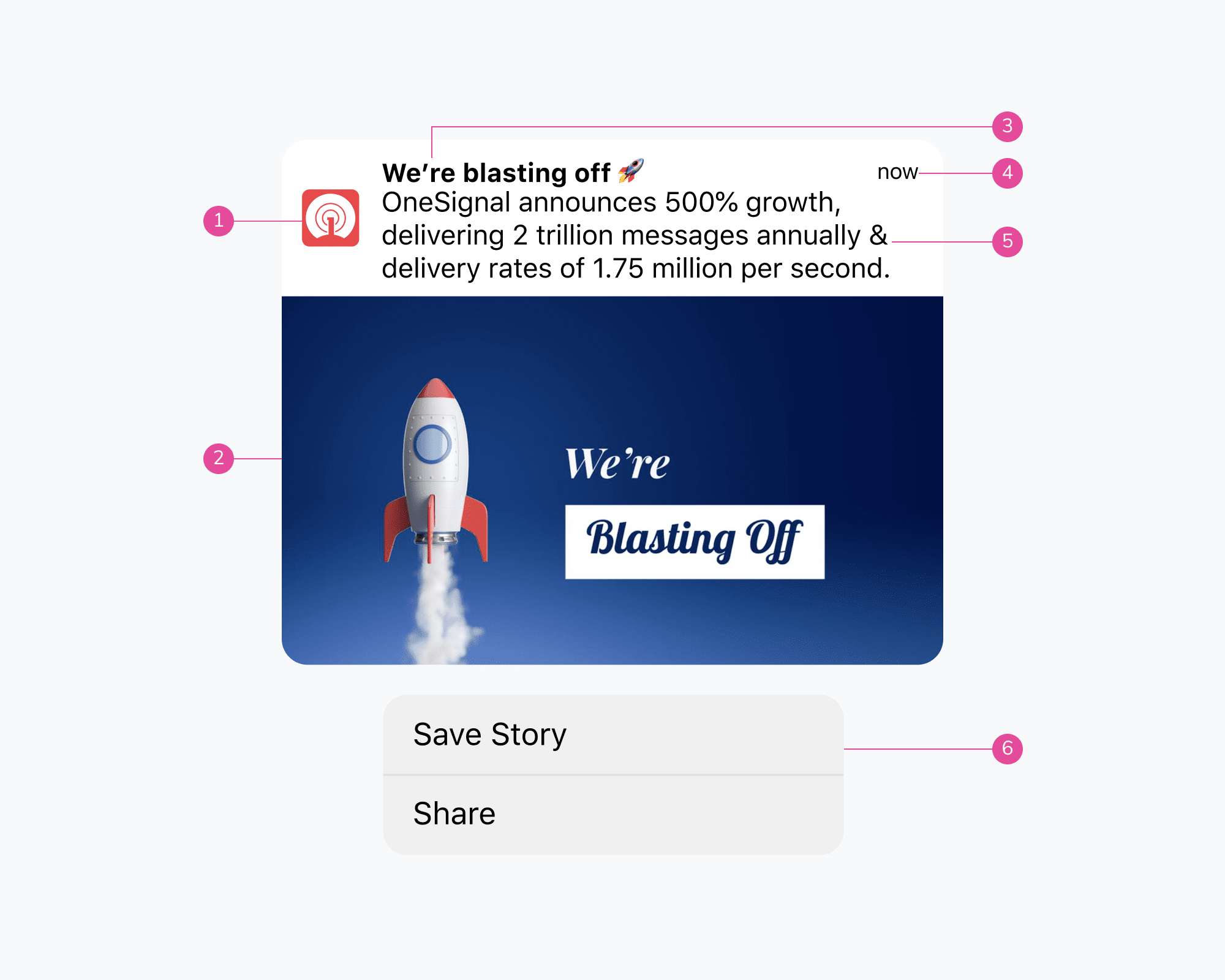 The Design and Anatomy of Push Notifications Across Devices